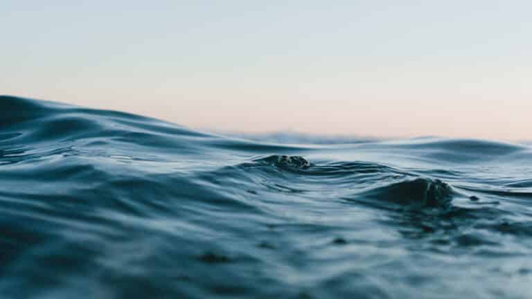 Talasofobia: Qué es y como superar la fobia al mar + ¡Test!